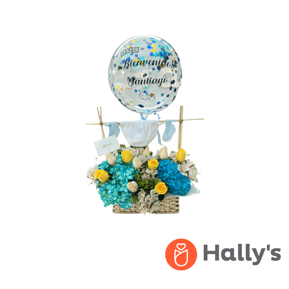 Tienda – Hally's