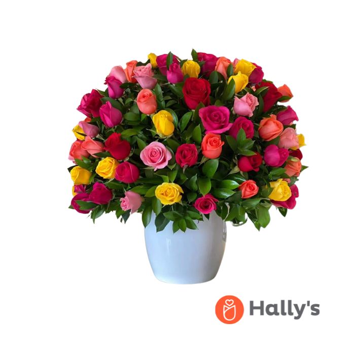 Tienda - Hally's
