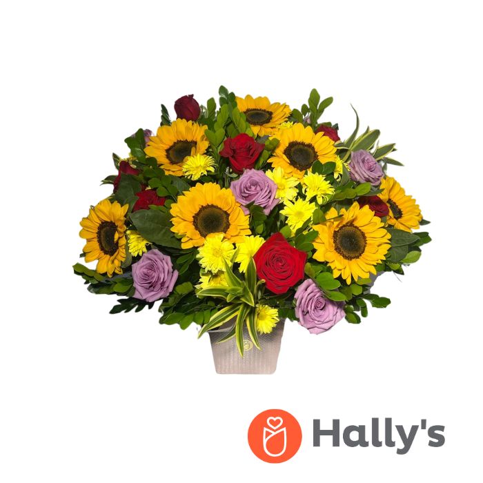 Tienda – Hally's